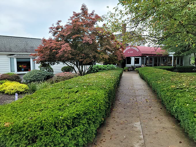 Belgrade Gardens' welcoming entrance invites you into decades of perfected fried chicken tradition and warmth.