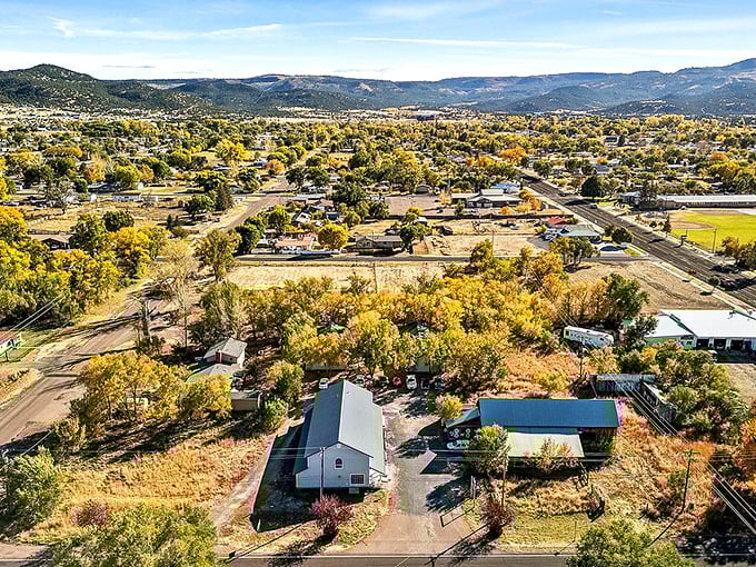 Eagar's autumn palette doesn't cost extra – those golden trees frame budget-friendly living spaces where your wallet can breathe as freely as the mountain air.