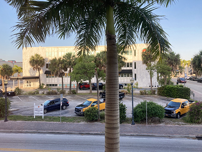 Palm trees stand tall like guardians of sunshine, framing a street scene that feels both everyday and cinematic.