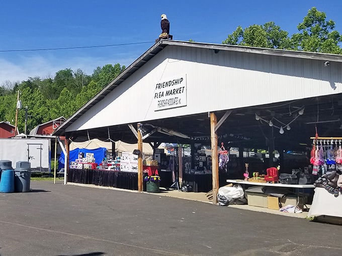 Friendship Flea Market lives up to its name – a covered haven where strangers become friends over shared discoveries.