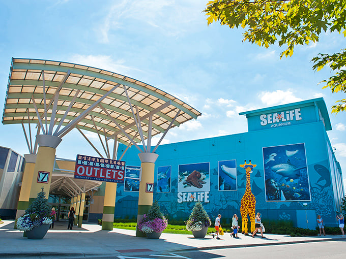 Entertainment meets retail therapy where aquarium magic adds wonder to your serious bargain hunting adventures.