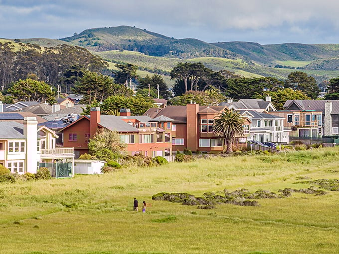 Half Moon Bay's harbor shelters colorful boats while Mavericks' legendary waves crash just beyond this pumpkin capital's shores.
