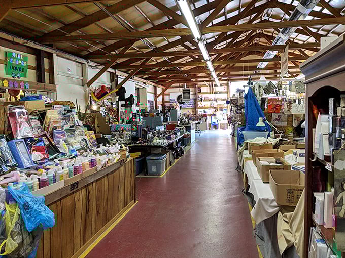 Concrete floors can't contain the excitement when every aisle promises hidden gems.