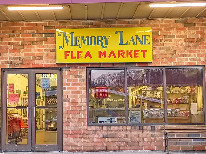 That cheerful yellow sign beckons like a lighthouse for anyone seeking nostalgic treasures and memories.