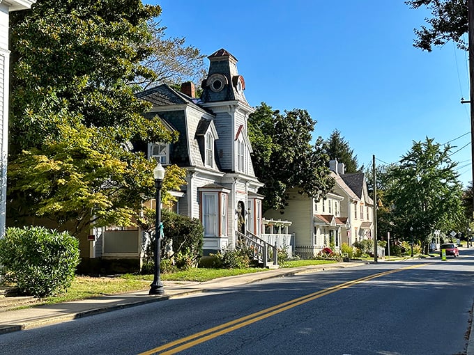 Milton's Victorian homes peek through summer foliage like hidden treasures waiting to share their architectural secrets.