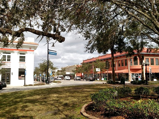 Look at those oak trees creating nature's umbrella over downtown – better than any theme park canopy!