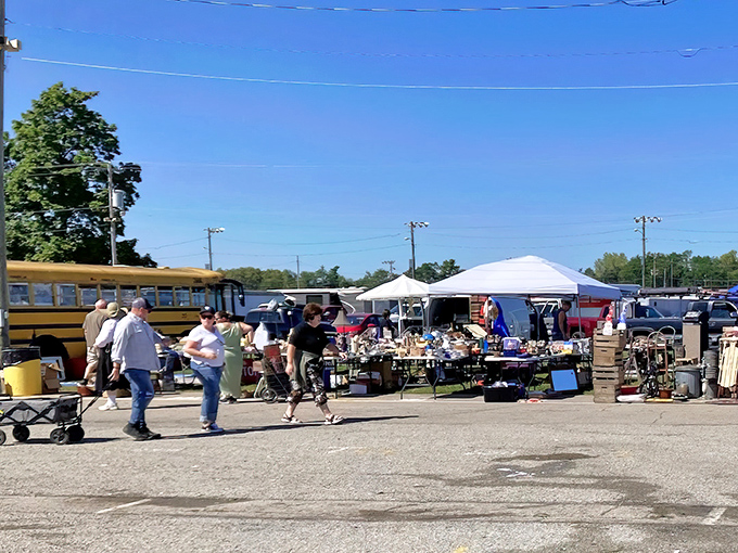 Springfield's famous antique market draws serious collectors and curious browsers alike. The thrill of the find keeps everyone coming back!