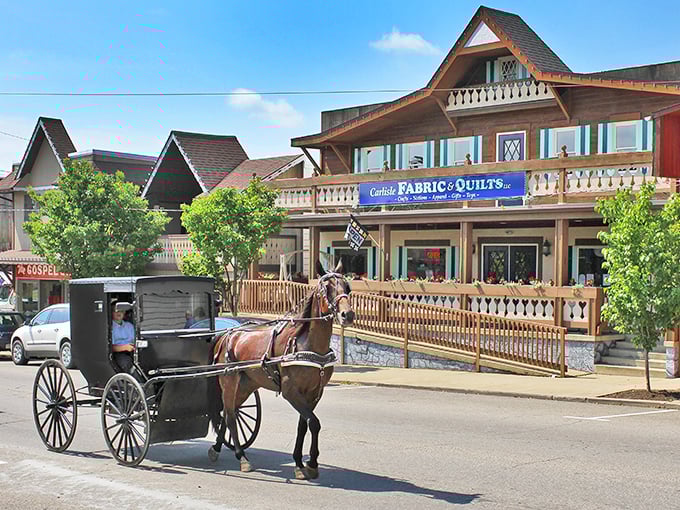 Horse-drawn buggies share the road with cars in Sugarcreek, creating scenes from simpler times.