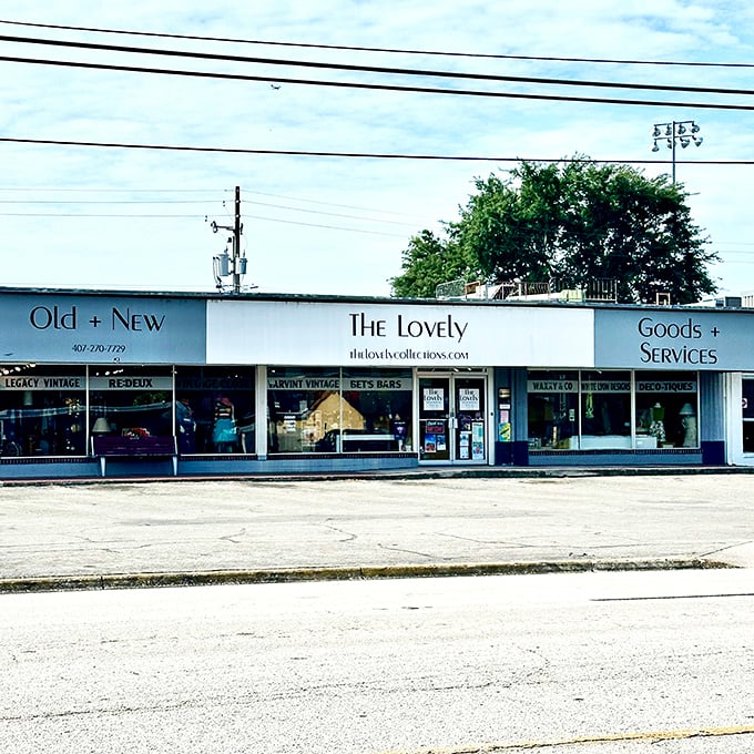 The Lovely Boutique Market brings a fresh approach to thrifting with its clean, modern storefront. "Old + New" indeed—the best of both worlds!