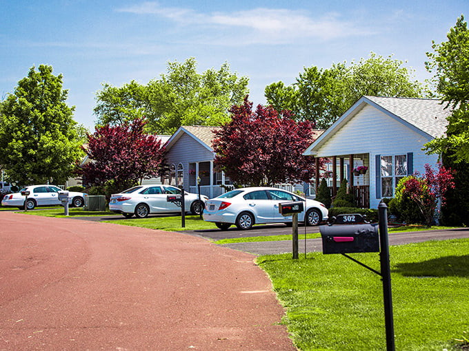 Tree-lined streets where every day feels like a Norman Rockwell painting come to life. 