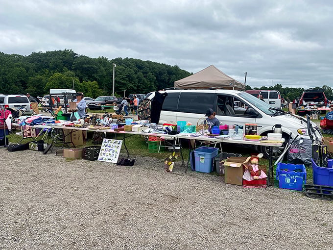 Vendors at Armada transform ordinary fields into extraordinary treasure hunts with tables full of weekend discoveries.