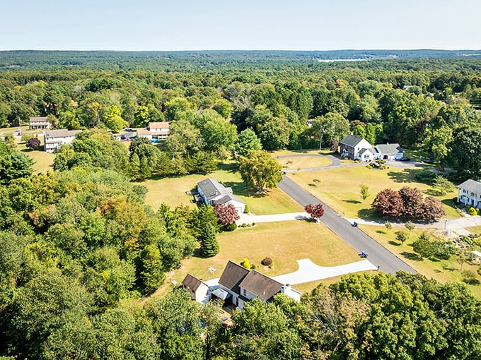 Griswold's woodland retreats nestle into nature's embrace – where your Social Security check buys both a home AND breathing room worthy of Thoreau.