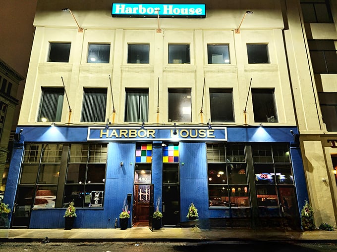 The nighttime glow makes this place look like the kind of spot where sailors would celebrate.