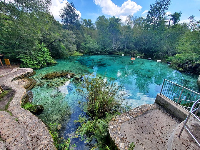 "Float your troubles away! This spring-fed river is nature's version of therapy – just add inner tube and subtract cell phone."