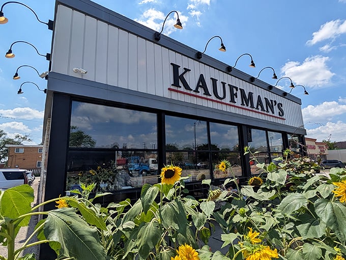 Sunflowers greet you at Kaufman's – nature's way of saying "the pastrami inside is going to change your life."