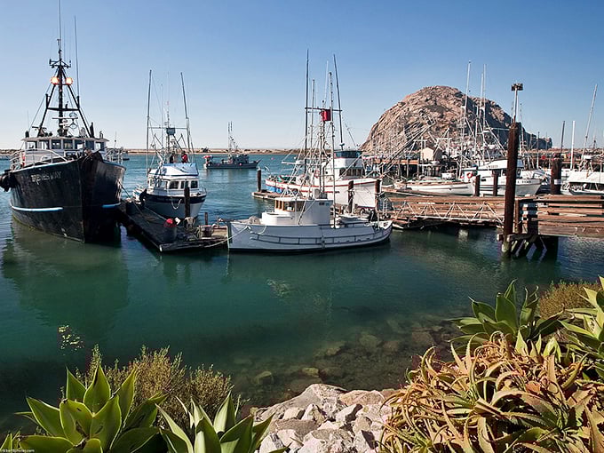 Fishing boats bob in the harbor like a maritime ballet – Swan Lake meets Deadliest Catch.