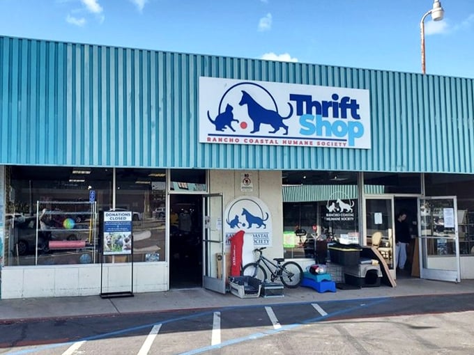 Every purchase here helps a tail wag somewhere—now that's shopping with a purpose.