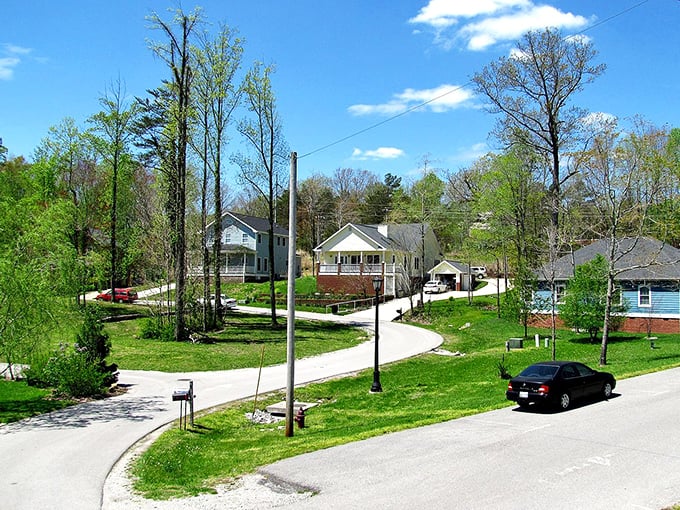 Tree-lined neighborhoods where college town culture meets small-town affordability in perfect harmony.