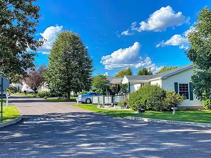 Those driveways could tell tales of grandkids visiting and ice cream trucks stopping by. 