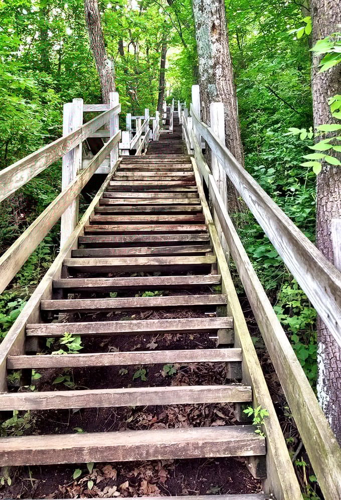These wooden stairs aren't just a workout—they're a time machine. Each step takes you deeper into Illinois' surprisingly rugged landscape.