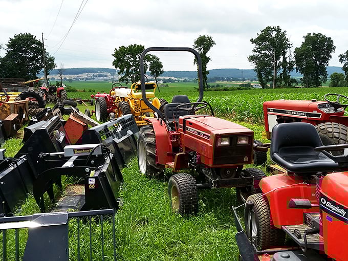 Red tractors line up like mechanical cattle, waiting for their next chapter in rural adventures.