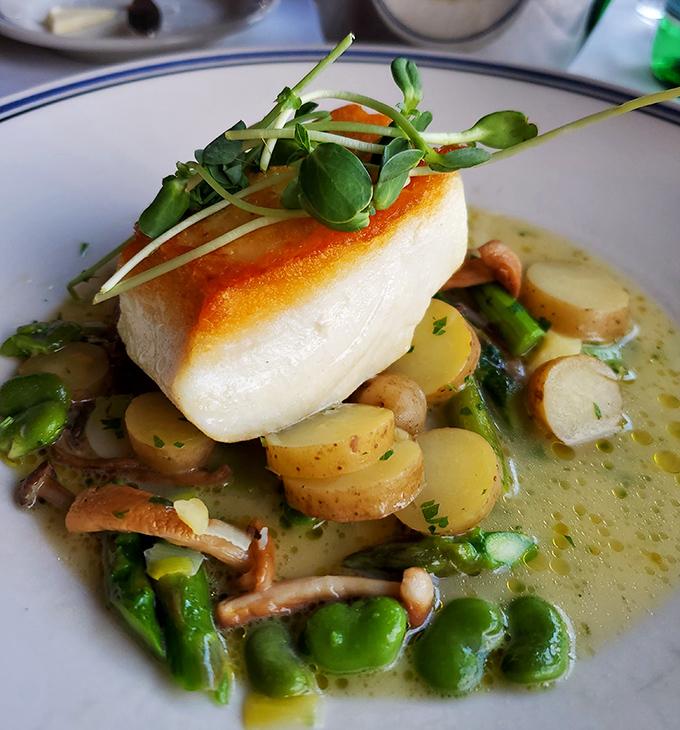 This halibut doesn't just sit on the plate—it presides over it, with vegetables and potatoes paying their delicious respects in a light broth.