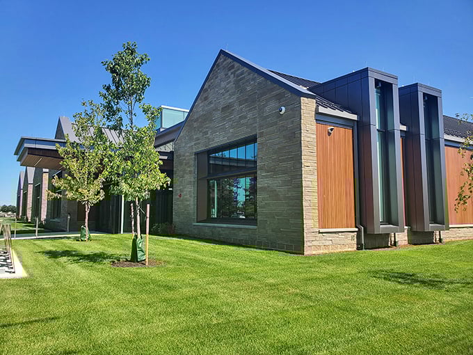 Not your grandmother's library! The Appoquinimink Library's modern architecture houses both traditional books and 21st-century technology in a stunning natural setting.