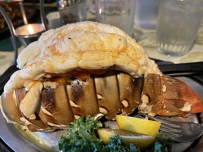 The Australian lobster tail—where "down under" meets "up north." Sweet, tender meat that makes you forget you're hundreds of miles from any ocean.