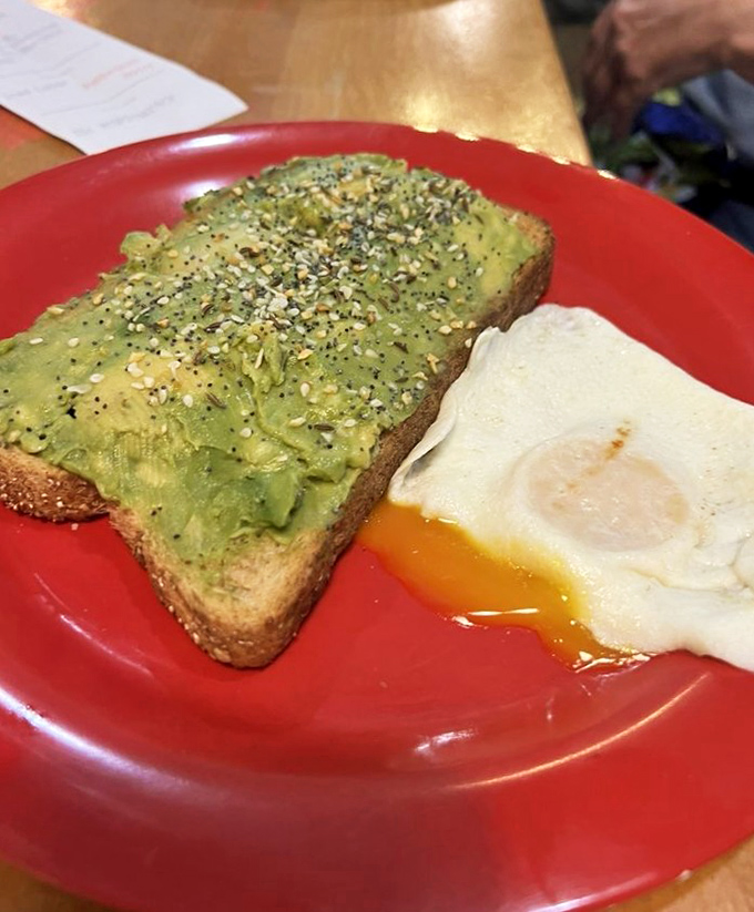 Avocado toast with an egg on the side—the breakfast that launched a thousand mortgage jokes and zero regrets.