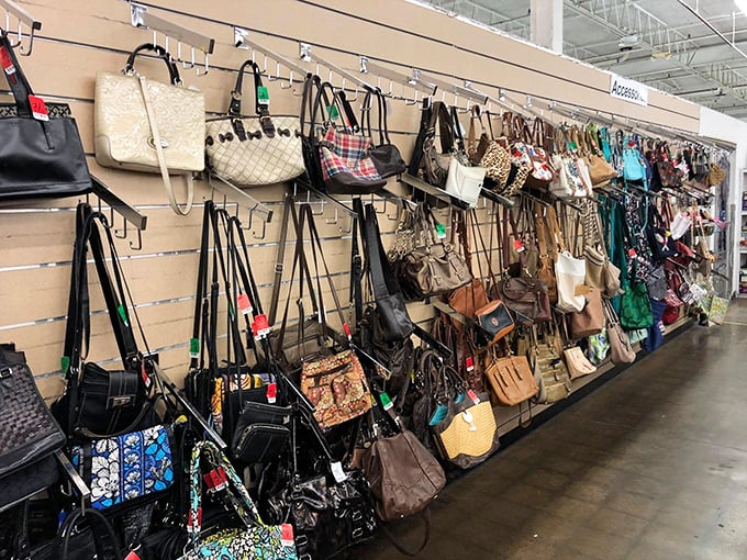 Handbag heaven! Each purse tells a story—some were prom dates, others corporate warriors, all waiting for their second act.