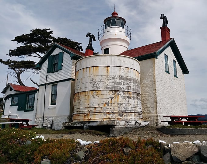 Battery Point Lighthouse stands sentinel on its rocky perch. Accessible only at low tide, this historic beacon has guided mariners since 1856—and now guides photographers to perfect sunset shots.