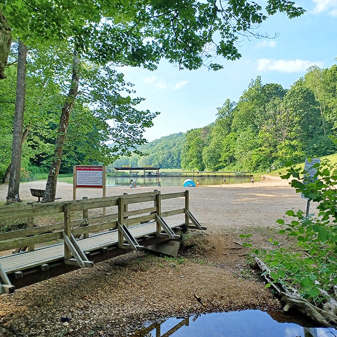 Summer's perfect stage. The swimming beach beckons with cool waters and a sandy shore, promising relief from Ohio's notorious humidity.