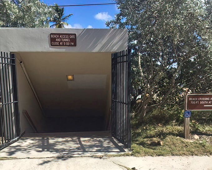 The secret passage: This unassuming tunnel is Fort Lauderdale's version of Platform 9¾, magically transporting you from forest to beach in thirty steps.