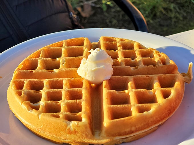 The perfect waffle doesn't exi— Oh wait, here it is! Golden, crisp exterior giving way to fluffy interior, crowned with a melting pat of butter.