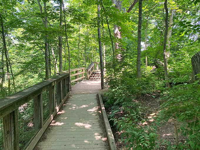 The boardwalk: where suburban convenience meets wilderness experience. Like having your nature cake and eating it too, without muddy shoes.