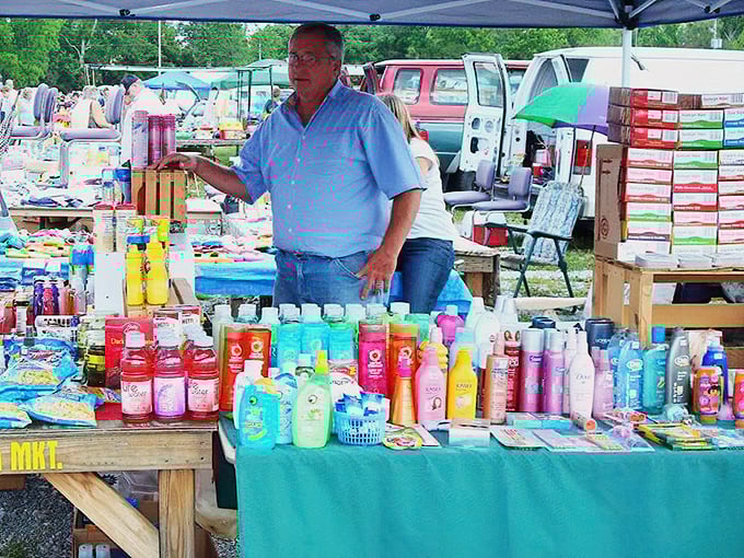 Personal care products lined up like soldiers ready for duty—because even treasure hunters need to smell good after a day of deal-seeking.