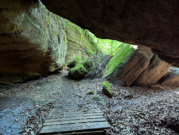 Nature's hallways invite you to wander and wonder. These moss-kissed passages feel like walking through the pages of a fantasy novel.