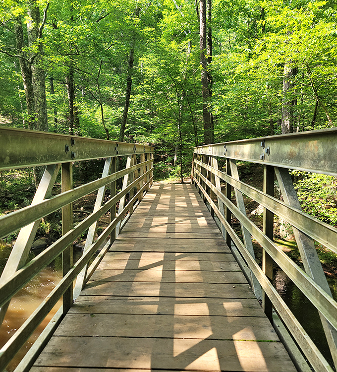 This bridge doesn't just connect two points – it invites you into a green cathedral where the sermon is delivered by rustling leaves.
