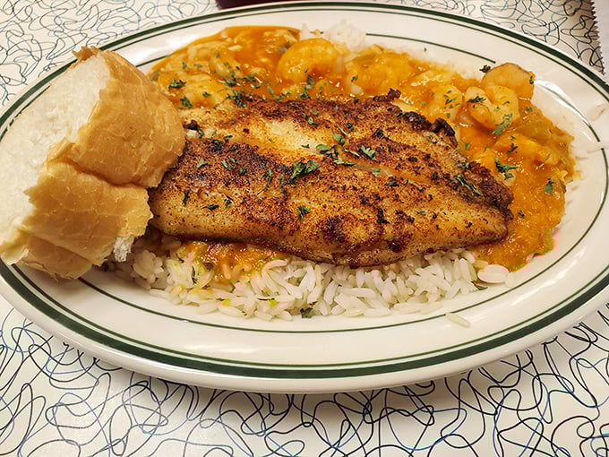 Blackened catfish resting on a bed of rice with a side of shrimp étouffée – proof that Louisiana knows how to turn swimming creatures into edible poetry.