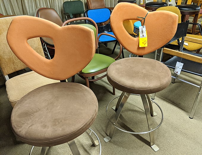 Mid-century modern meets contemporary comfort. These sculptural seats aren't just furniture—they're conversation starters with lumbar support.