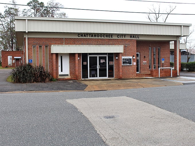City Hall might not win architectural awards, but its modest brick façade represents accessible government where your concerns actually get heard.