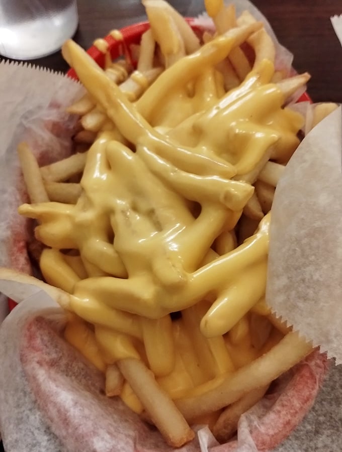 Cheese fries that don't just cross the line into decadence – they dance over it with golden, melty abandon.