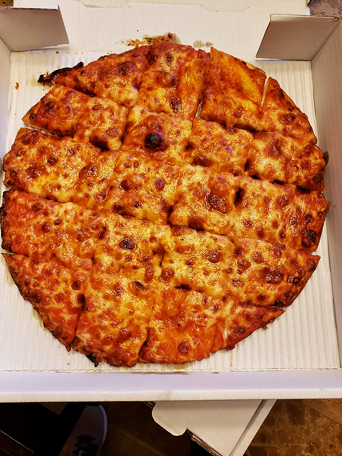 Sometimes the most beautiful things are the simplest – pure cheese pizza executed with decades of expertise.