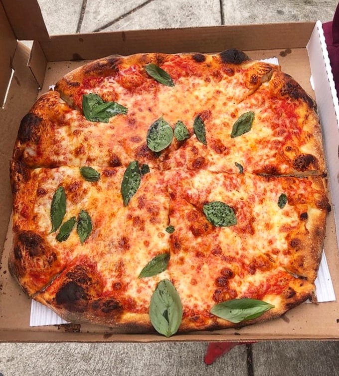 Pizza perfection doesn't need fancy toppings—just impeccable dough, bright sauce, quality cheese, and fresh basil leaves scattered like edible confetti.