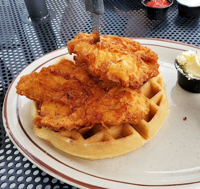 Chicken and waffles: where Southern comfort meets breakfast rebellion. That golden-fried crust deserves its own fan club.
