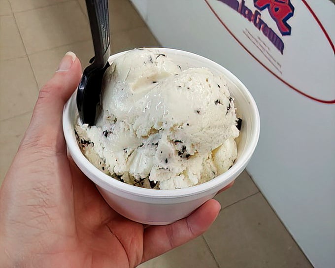 Chocolate chip ice cream scooped with generous abandon—proof that happiness can indeed fit in a small container.