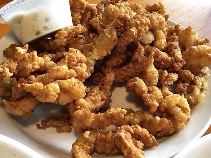 Fried clam strips that shatter with each bite – golden, crispy, and utterly addictive. The kind of food that creates lifelong cravings.