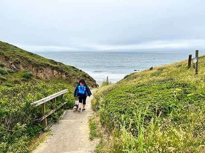 The path to the Pacific promises more than just a view – it delivers that rare moment when you remember why you left your couch in the first place.