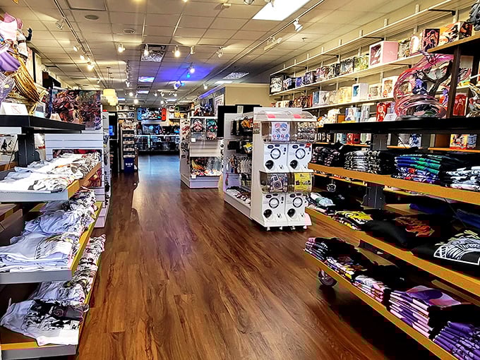 Not just any store—a treasure trove of collectibles and memorabilia where grown adults can justify purchases as "investments." Your inner child is nodding vigorously.