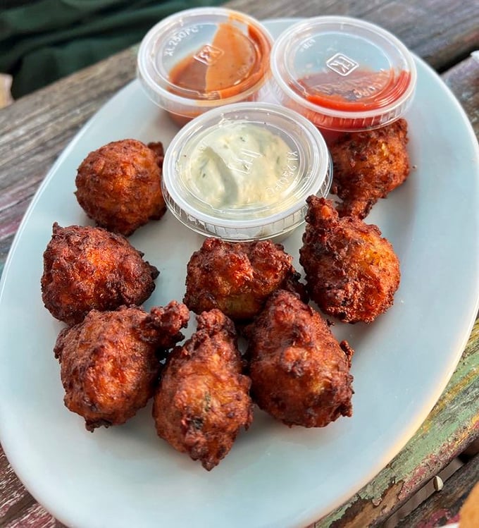 These conch fritters aren't just appetizers, they're golden-brown ambassadors of the sea, crispy outside and tender within—Florida's perfect bite.